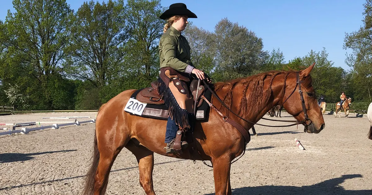 Westernpferd ausbilden lassen ⋆ Anreiten/Beritt anfragen