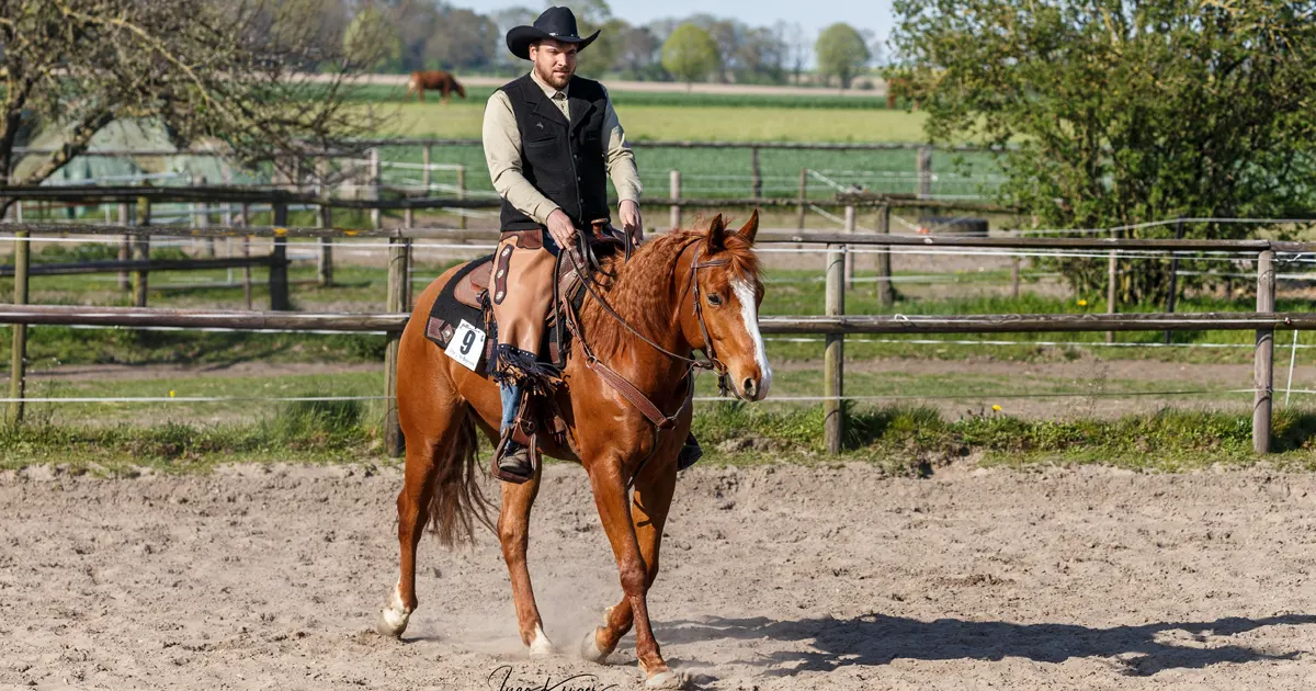 Westernreiten Schleswig-Holstein ⋆ Reitunterricht bei Bianca Hinz